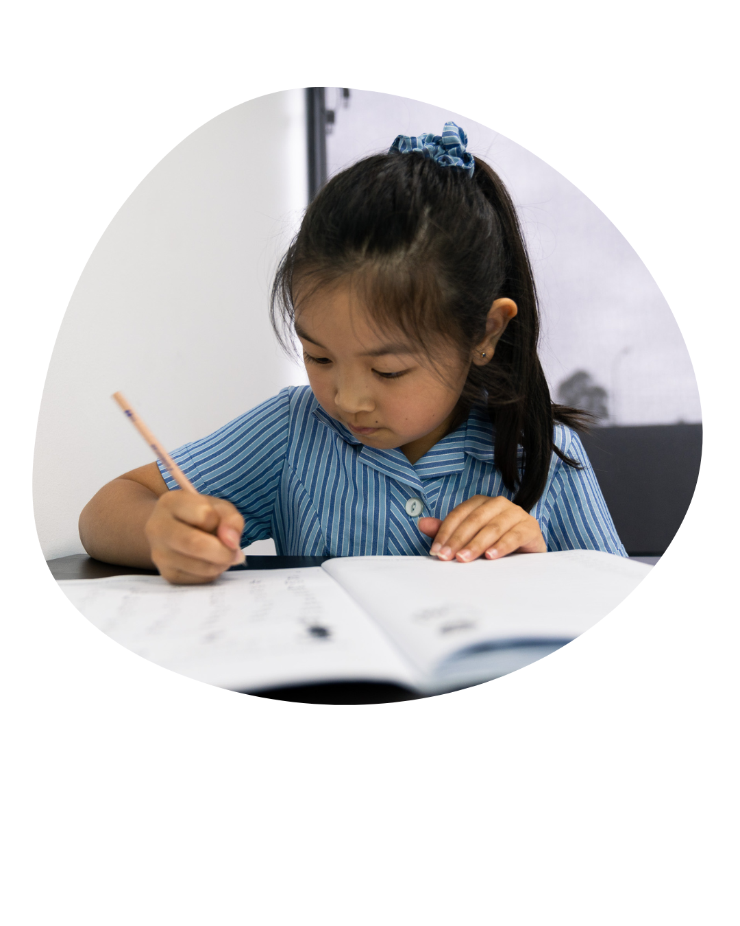 School Readiness Program (Pre-Kindy) | Markitup Tuition